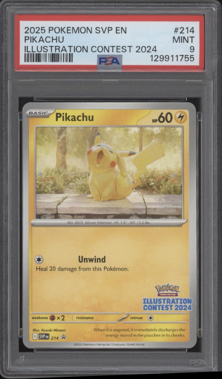 Pikachu Pokemon Scarlet & Violet Promo Illustration Contest 2024 #214 ...